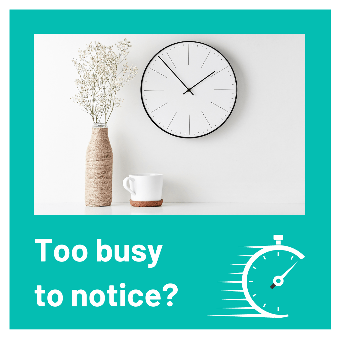 Too busy to notice? - Flying School